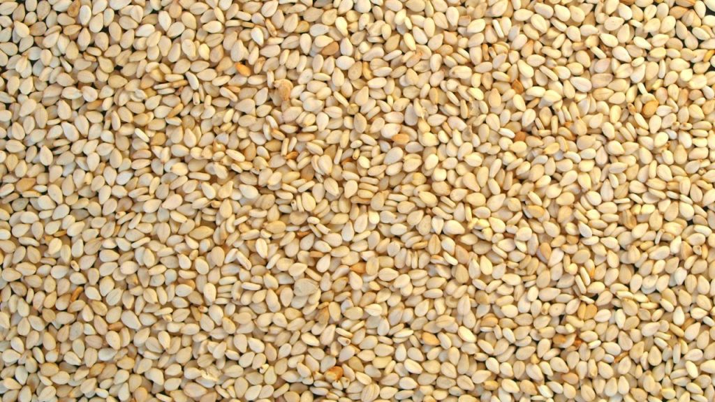Sesame Seeds